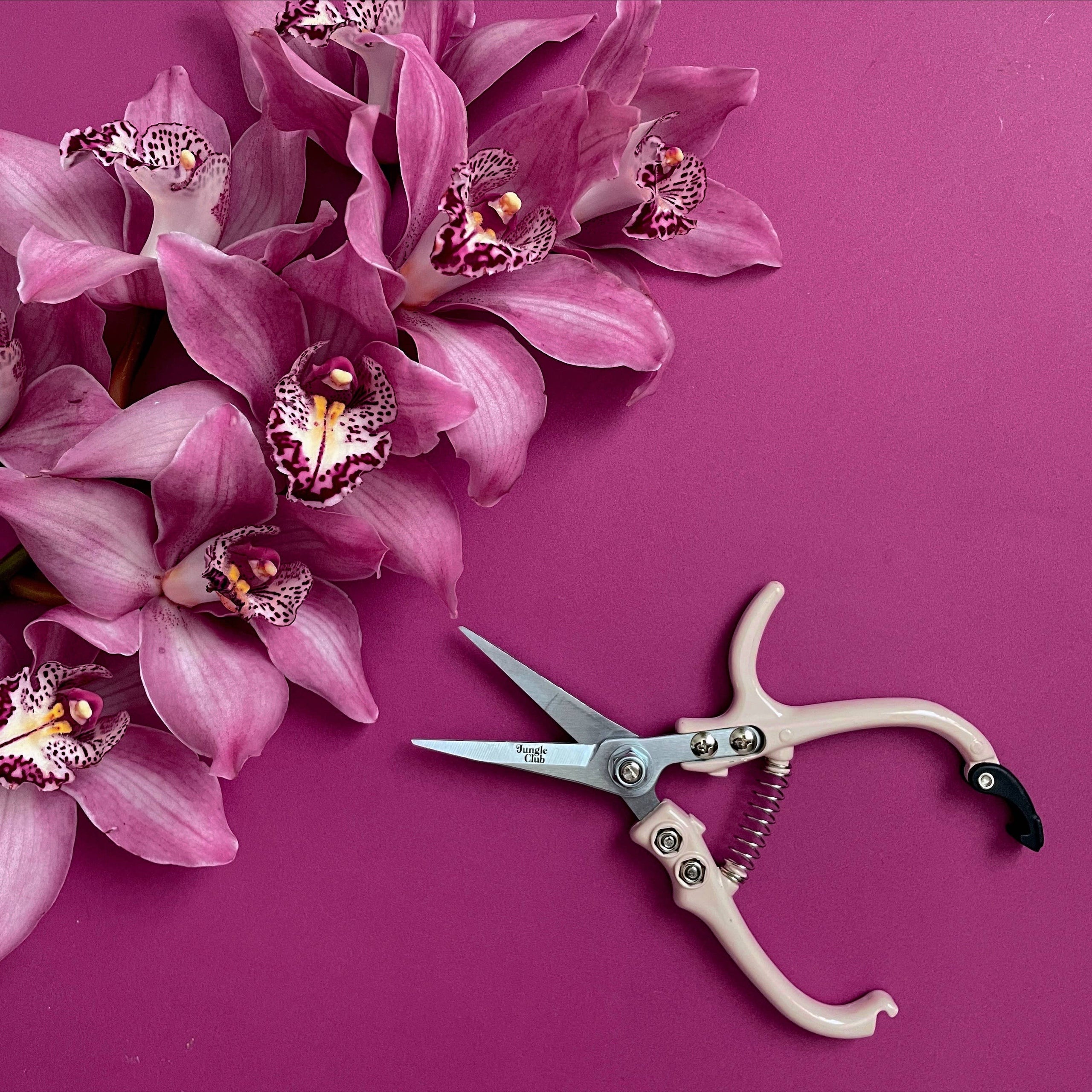 Pruning Shears - Vanilla | The Urban Farmhouse